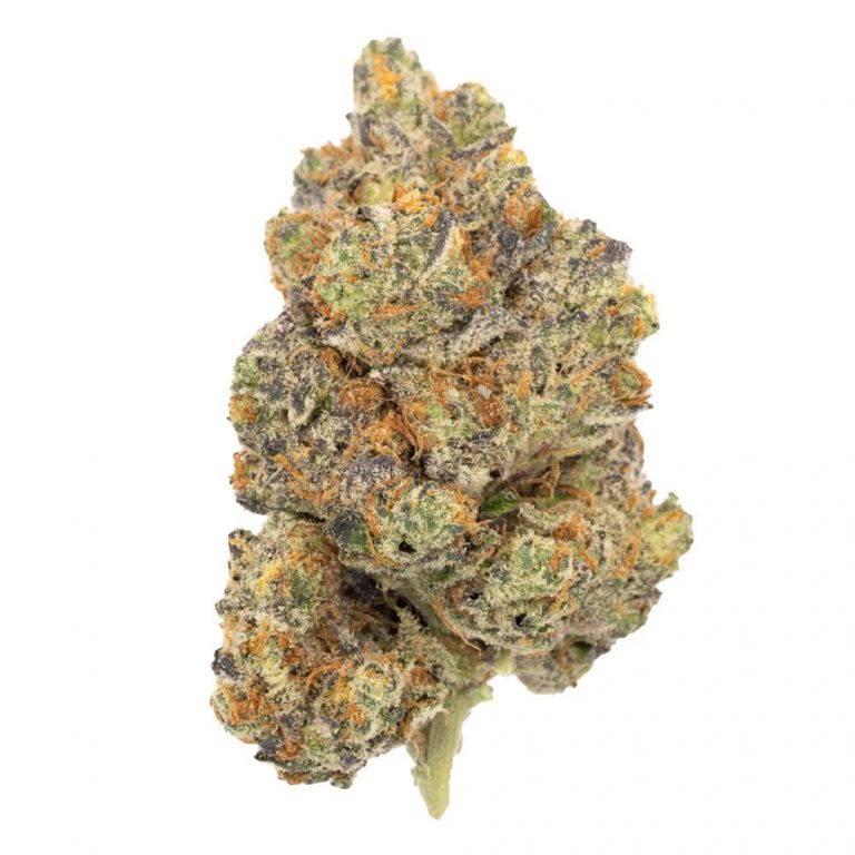 Buy Trunk Funk Hybrid Deadhead Chemist Online | NupepShrooms